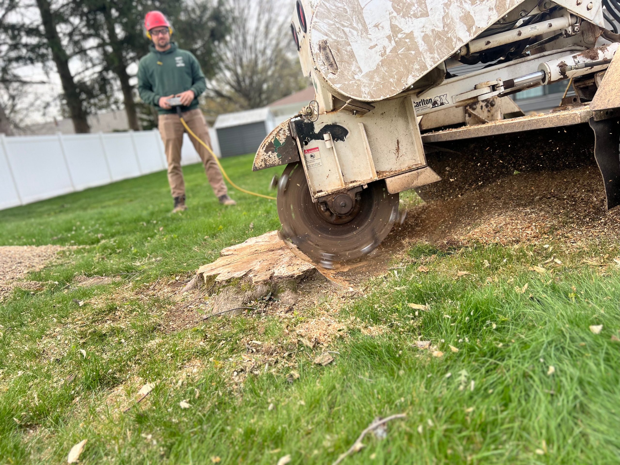 Is Stump Grinding Necessary? Here’s When It Matters - Owen's Tree Care